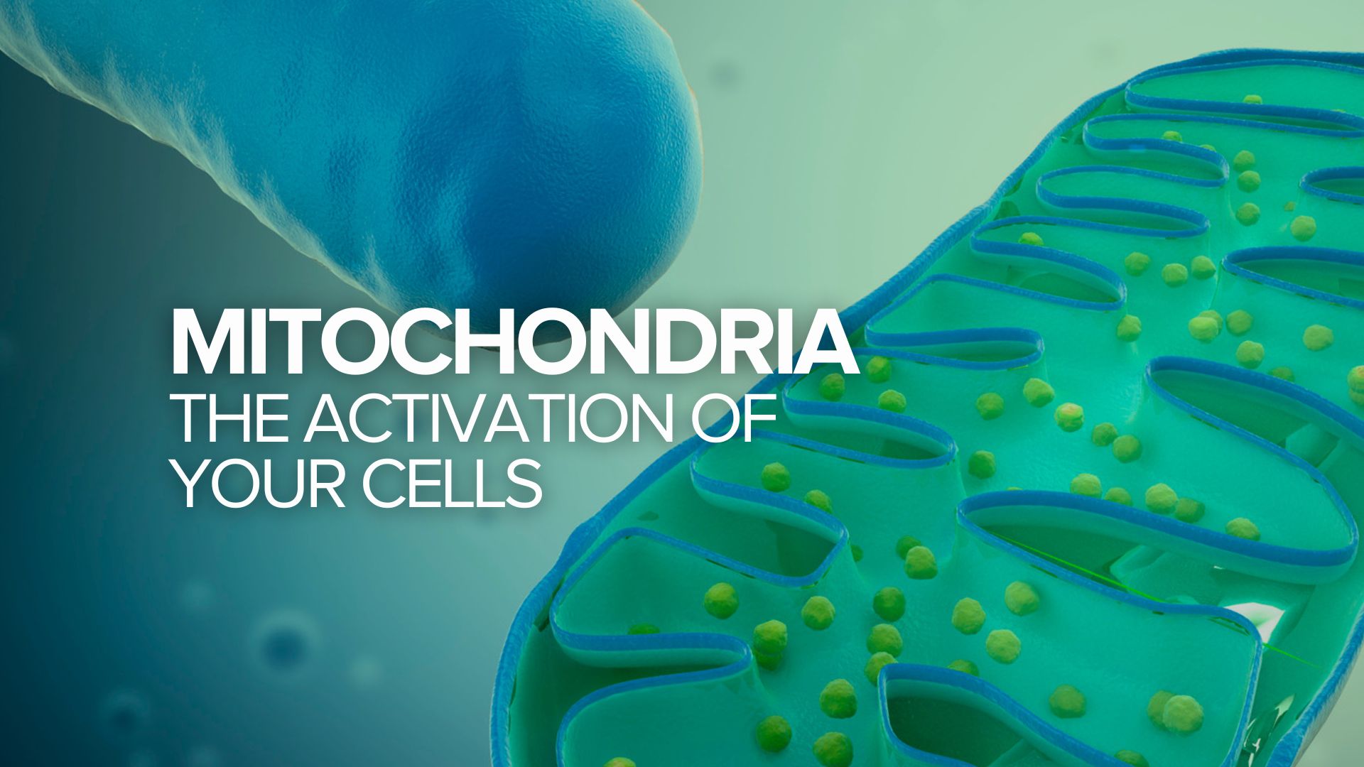 Mitocondriile: Activarea celulelor tale - NANOSOMA.COM
