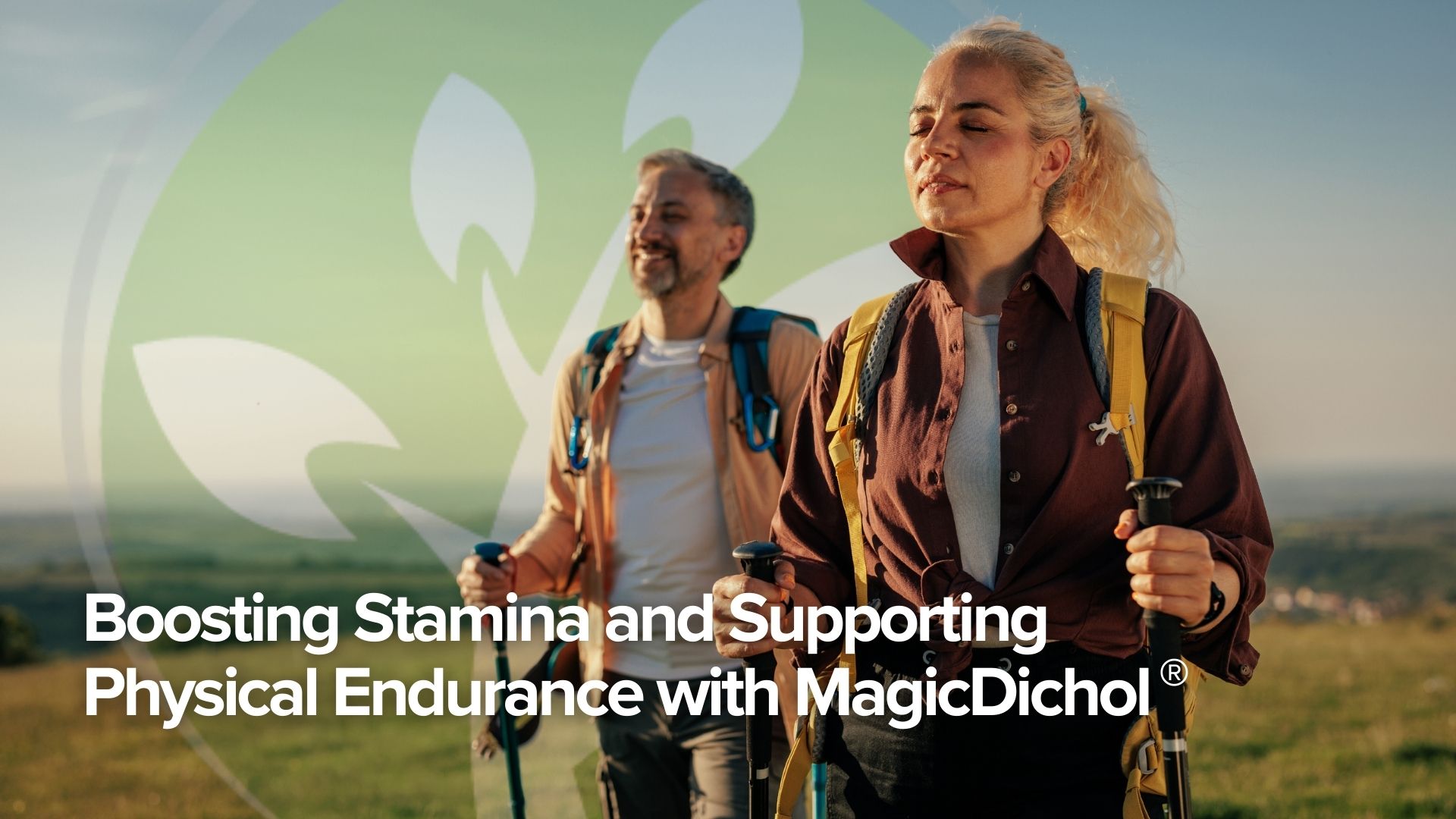 Boosting Stamina and Supporting Physical Endurance with MagicDichol ...